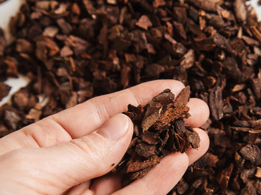 Tannin production from local Aleppo pine bark by-products - inèdit
